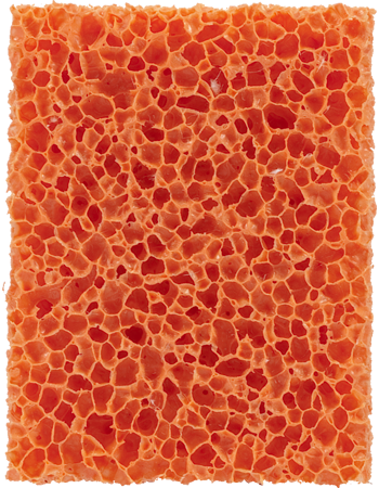 orange makeup sponge