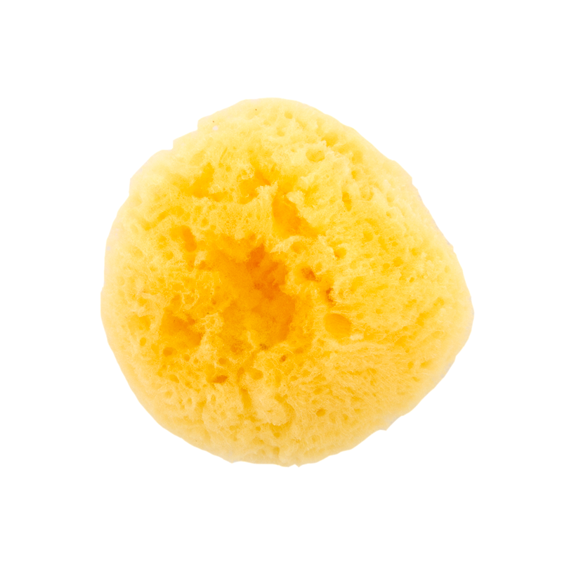 Artist Select Deluxe Natural Sea Sponge – MakeUpMania.com
