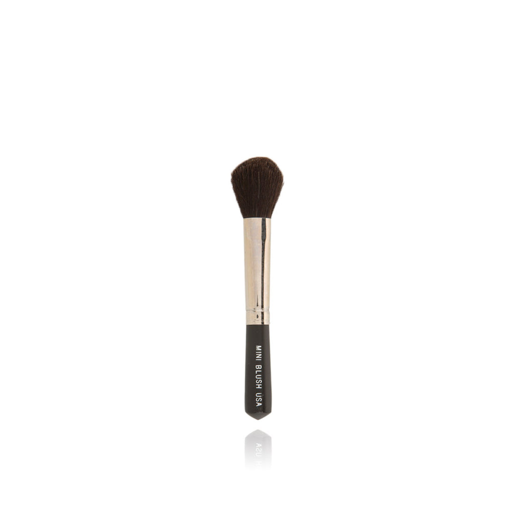Artist Select Mini Blush Brush – MakeUpMania.com